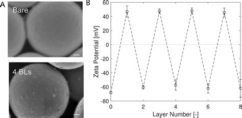 Diffusiophoretic Behavior Of Polyelectrolyte Coated Particles Langmuir