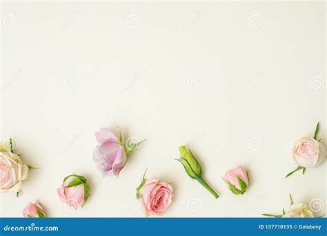 Flower Composition Assorted Rose Ivory Background Stock Image Image