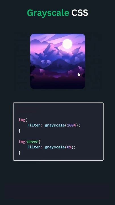 Css Grayscale Filter Csstricks Css3 Youtube