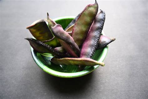 1200 Dolico Do Egito Fotos De Stock Imagens E Fotos Royalty Free Istock