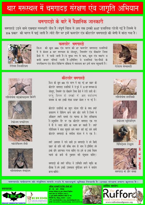 Design Of Informative Poster Developed In A3 Size For Distribution Download Scientific Diagram