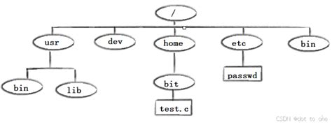 linux 入门 常用指令 详细版 ls la csdn博客