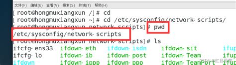 linux目录操作——详细样例 rm r 举例 csdn博客