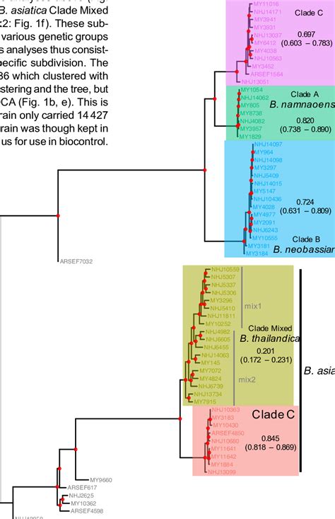 A Bayesian Phylogenetic Tree Based On Concatenated 1 034 Genes In Download Scientific Diagram