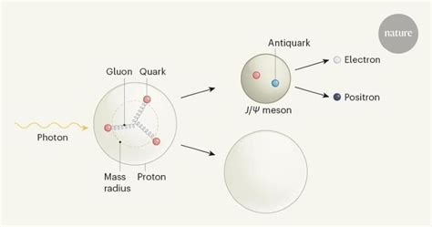 A Glimpse At The Inner Structure Of The Proton