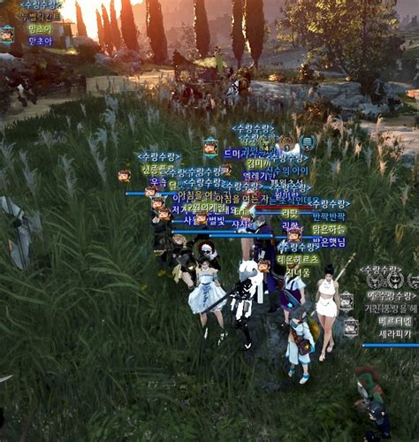 [스크린샷 And 영상] [pc방지원] 수랑수랑🌺 검은사막 한국