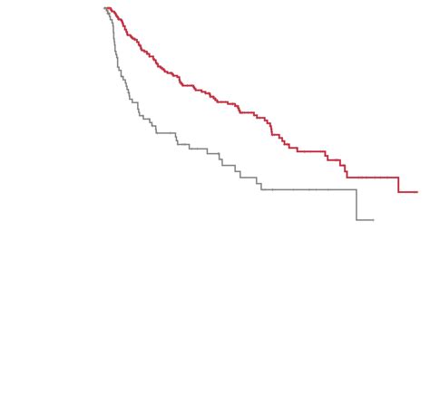 Flt3 Mutation Testing In Aml Acute Myeloid Leukemia Patients
