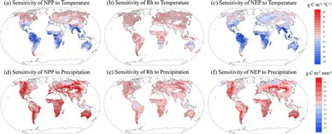 Sensitivity Of Terrestrial Carbon Fluxes A And D Npp B And E Rh