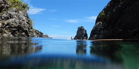 What Is The Role Of Estuaries In Maintaining Healthy Coastal Ecosystems