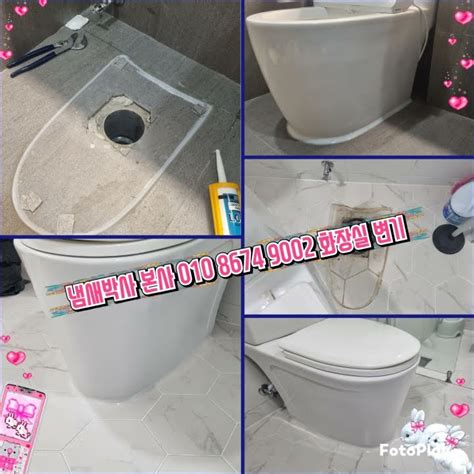 강서구화장실냄새 강서구하수구냄새 양변기 좌변기 대변기 변기 베란다 세탁실 배수구 욕실 우수관 악취 벌레 퇴치 차단 장수트랩 냄새박사 나방파리 바퀴벌레 소변기 찌린내 똥냄새