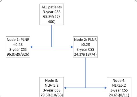 Decision Tree Model For Prediction Of 3 Year Css Generated By The