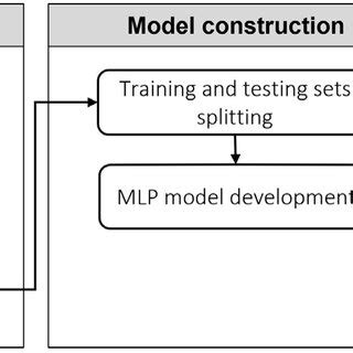 MLP Model Development Steps Download Scientific Diagram