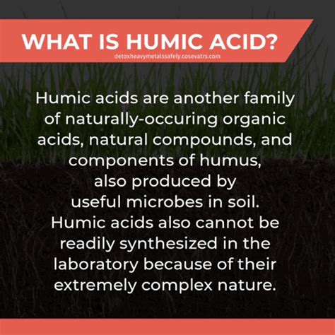 Detox Nutrients  By Detoxheavymetalssafely Find And Share On Giphy