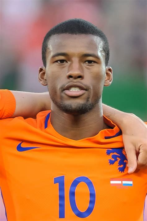 The Top 15 Best Dutch Soccer Players Discover Walks Blog