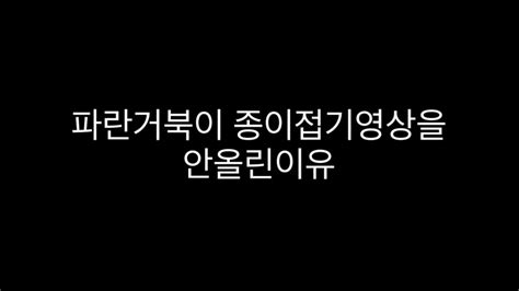 파란거북이 종이접기 영상을안올린이유 Youtube