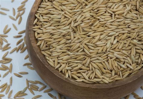 Sivan Samba Namma Nellu