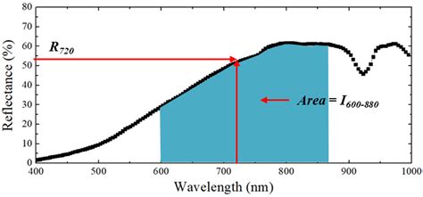 Spectrum Index For Estimating Ground Water Content Using Hyperspectral Information