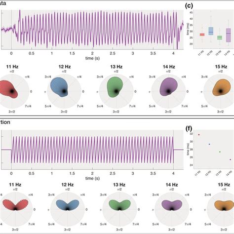 Simulation Phase‐amplitude Coupling Pac Analysis With Neural
