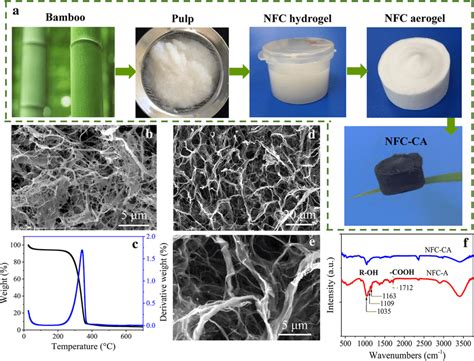A Schematic Illustration Showing The Pathway To Fabricate Carbon Download Scientific Diagram