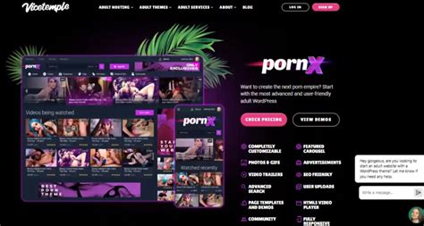 Top WordPress Themes For NSFW Websites In