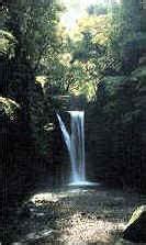 The 48 waterfalls of Takihata - 河内長野市ホームページ