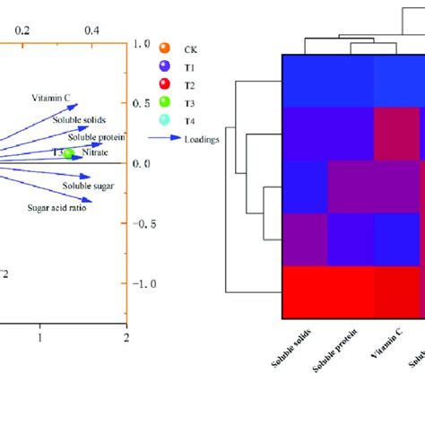 Principal Component Analysis A And Cluster Analysis B Of The