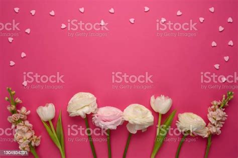 핑크 배경에 마음과 아름다운 봄 꽃로맨틱 구성 프레임 발렌타인 여성의 어머니의 날 사랑 개념 0명에 대한 스톡 사진 및 기타 이미지 Istock