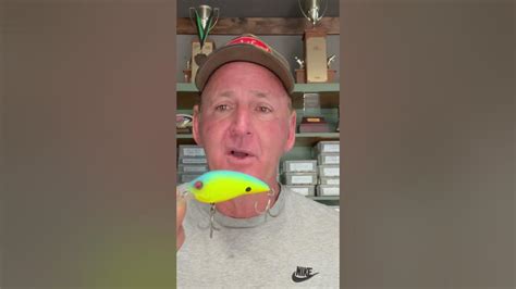 Top August Bass Fishing Lure Youtube