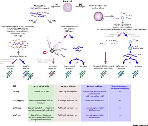 Single Cell Multiomics Multiple Measurements From Single Cells Trends