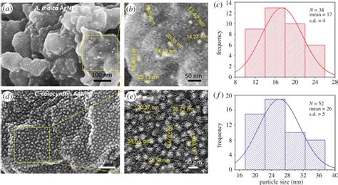 sem micrographs and histograms a b sem image of a indica agnps