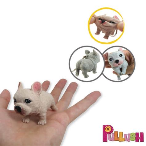 Pullush Foluck Novelty Toys