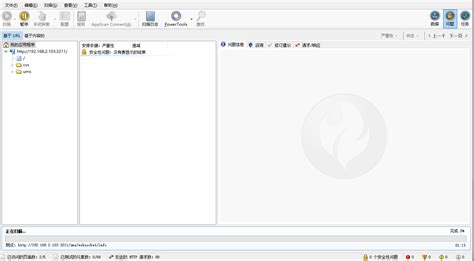 系统安全应用扫描及代码扫描 Csdn博客