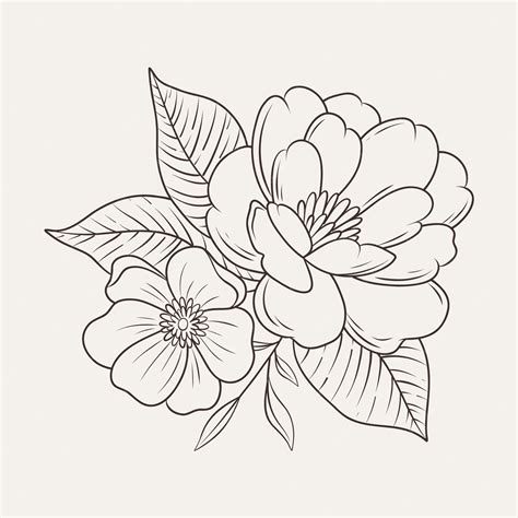 Simple Flower Drawing Outline