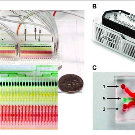 Pdf Miniaturized Dna Sequencers For Personal Use Unreachable Dreams Or Achievable Goals