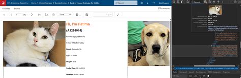 Ssrs 2022 Image Source Incorrect Sqlservercentral Forums