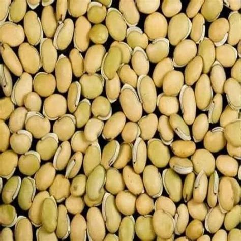 Field Bean A Grade Packaging Size 5 Kg At ₹ 499kg In Pune Id 22409506130