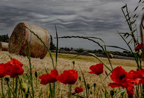 Asperitas Fotometeorefotometeore