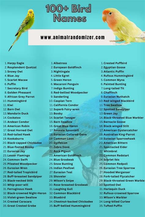 Female Blue Parakeet Names
