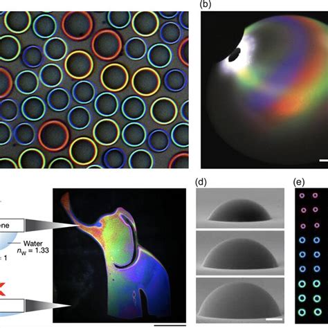 Structural Colouration A Micrograph Of Colours Reflected From The