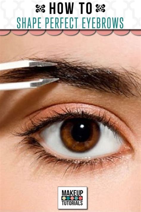 Eyebrows Eyebrow Tutorial And Perfect Eyebrows On Pinterest