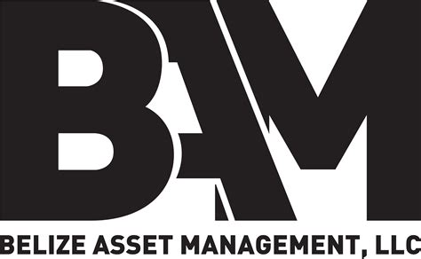 Default Logo Belize Asset Management John Turley