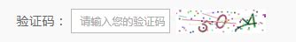 vue实现随机验证码功能的实例代码 web开发 亿速云