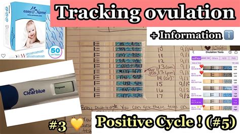 Im Pregnant Ovulation Line Progression Positive Cycle 5 How To