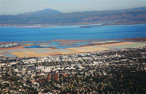 Introducing Tidal Flat Habitat Ohi