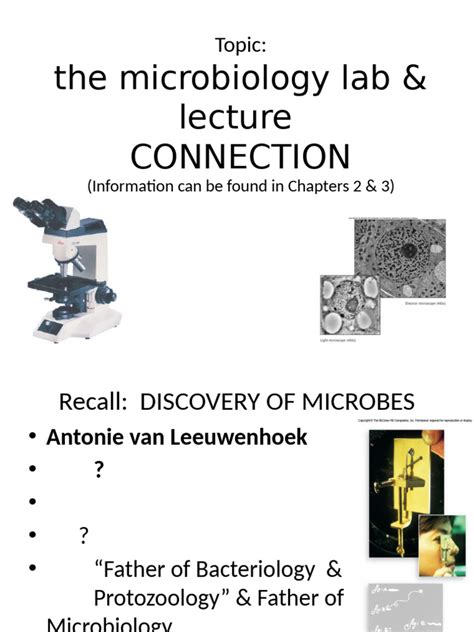 Handout Ftf Openstax Micro 2 And 3 The Micro Lab And Lecture Connection