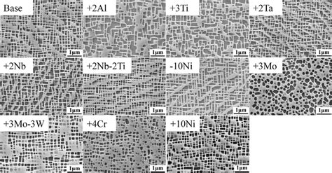 Typical Microstructures Of The Alloys In The Investigated Download Scientific Diagram