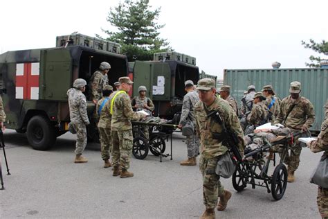 Awasome Mascal Army References