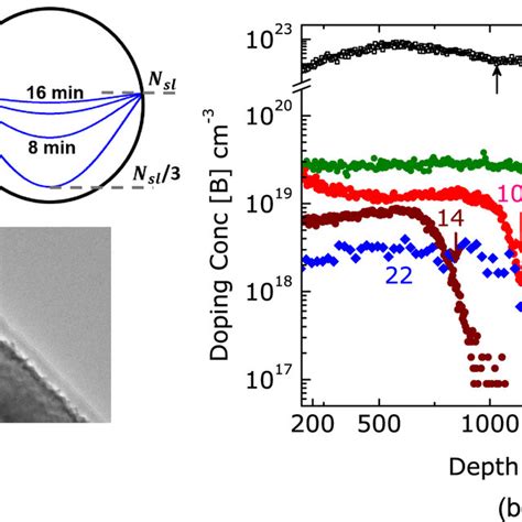 A Schematic Of Barrier Layer Doping Using Spin On Dopants With Tem Download Scientific