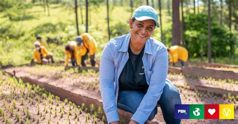 1 Million Trees By 2035 Plant Based News Debuts Bold Planting Partnership