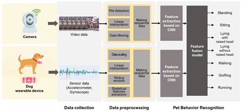 Dog Behavior Recognition Based On Multimodal Data From A Camera And